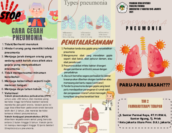 (PDF) LEAFLET PNEUMONIA