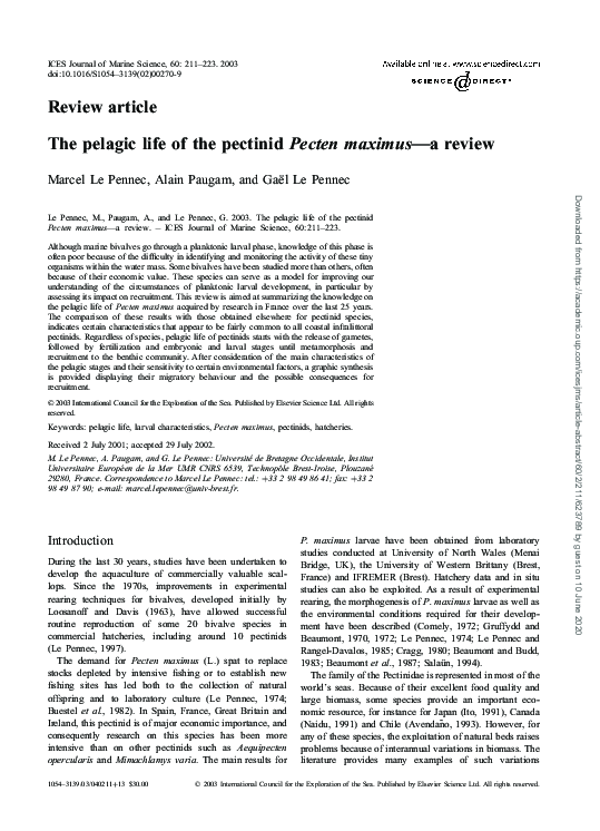 (PDF) The pelagic life of the pectinid Pecten maximus a review