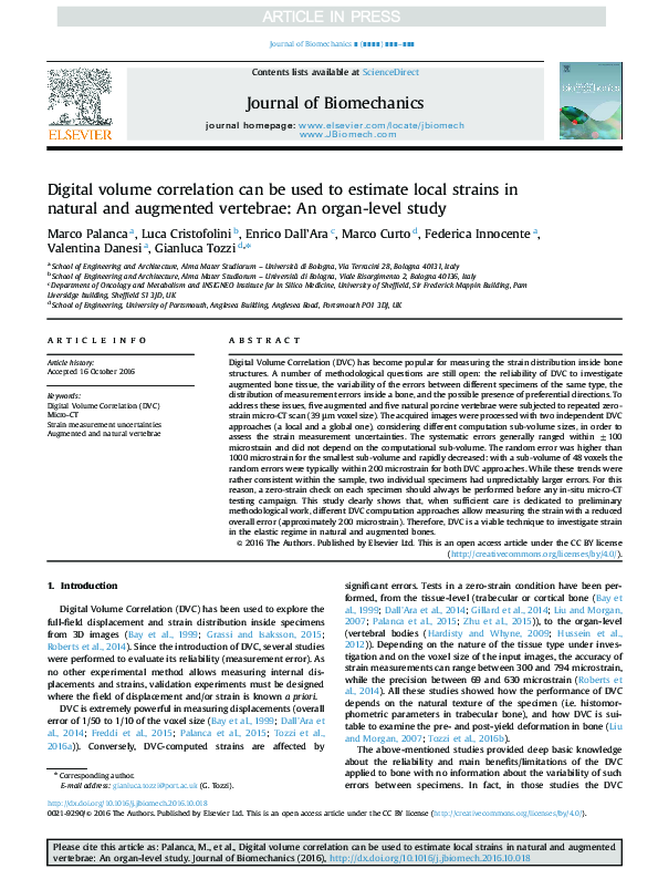 (PDF) Digital volume correlation can be used to estimate local strains ...