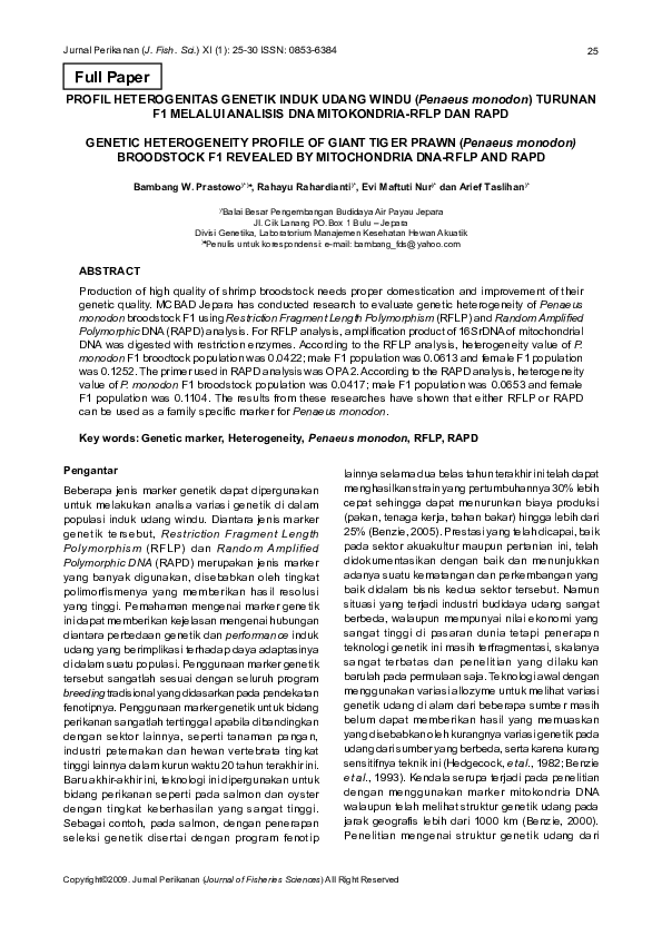 (PDF) PROFIL HETEROGENITAS GENETIK INDUK UDANG WINDU (Penaeus monodon ...