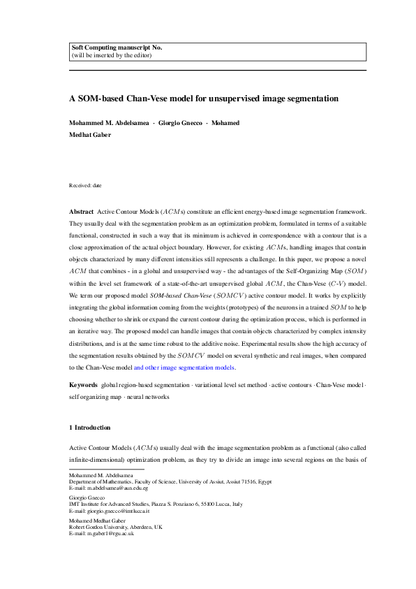 (PDF) A SOM-based Chan–Vese model for unsupervised image segmentation