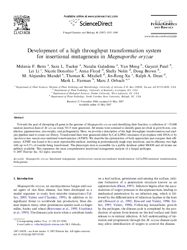 (PDF) Development of a high throughput transformation system for ...