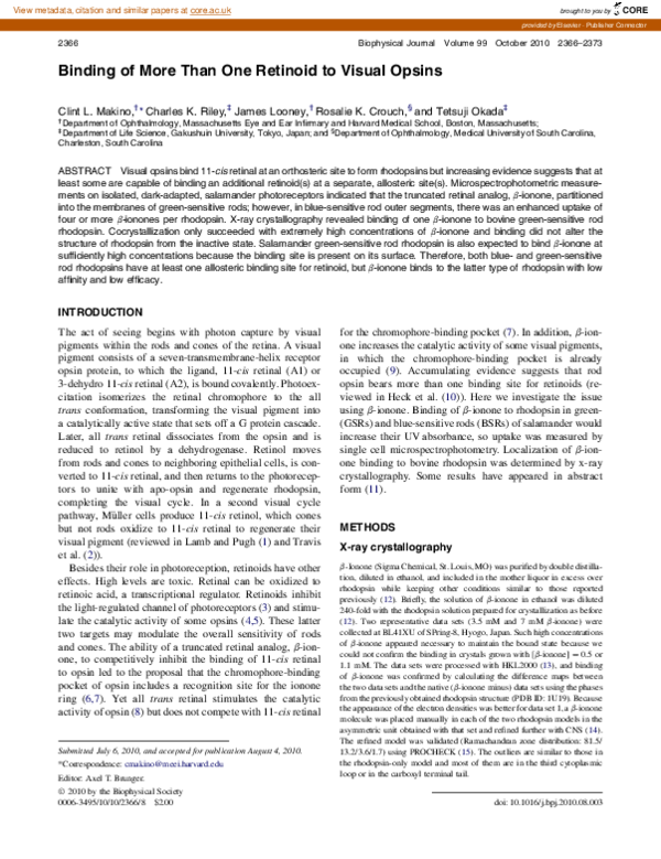 (PDF) Binding of More Than One Retinoid to Visual Opsins