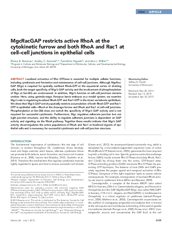 (PDF) MgcRacGAP restricts active RhoA at the cytokinetic furrow and ...