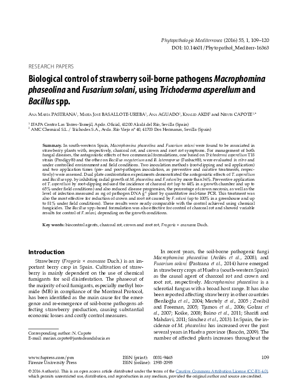 (PDF) Biological control of strawberry soil-borne pathogens Macrophomina phaseolina and Fusarium ...