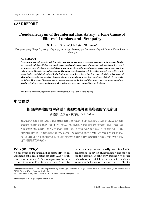 (PDF) Pseudoaneurysm of the Internal Iliac Artery: a Rare Cause of ...