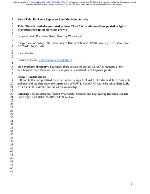 (PDF) The microtubule-associated protein CLASP is translationally ...