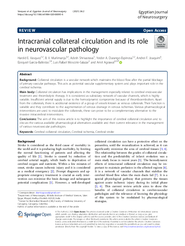 (PDF) Intracranial collateral circulation and its role in neurovascular ...