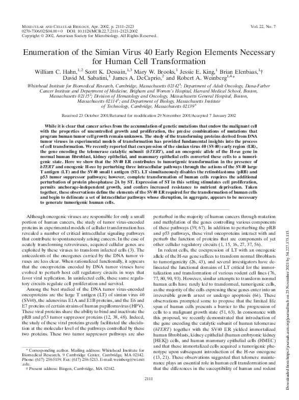 (PDF) Human Cell Transformation
