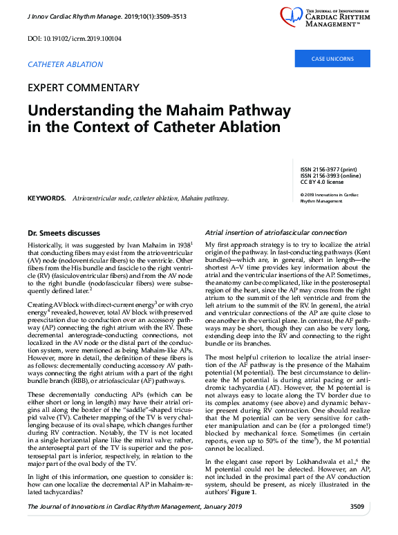 (PDF) Understanding the Mahaim Pathway in the Context of Catheter ...