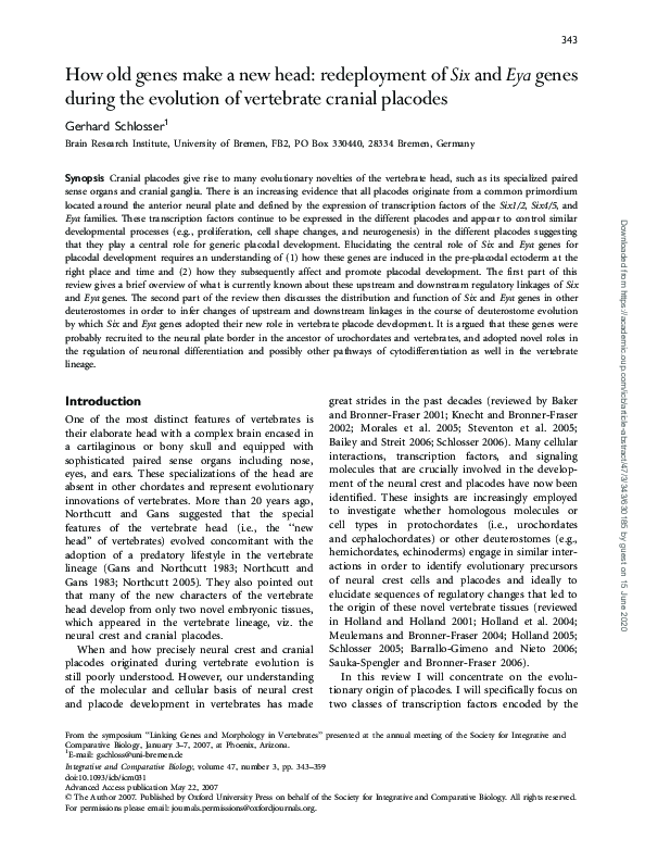 (PDF) How old genes make a new head: redeployment of Six and Eya genes ...