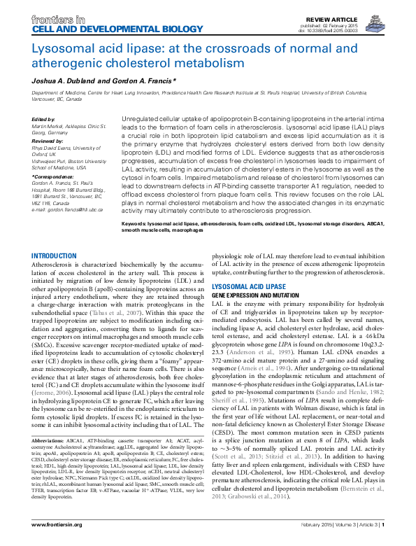 (PDF) Lysosomal acid lipase: at the crossroads of normal and atherogenic cholesterol metabolism