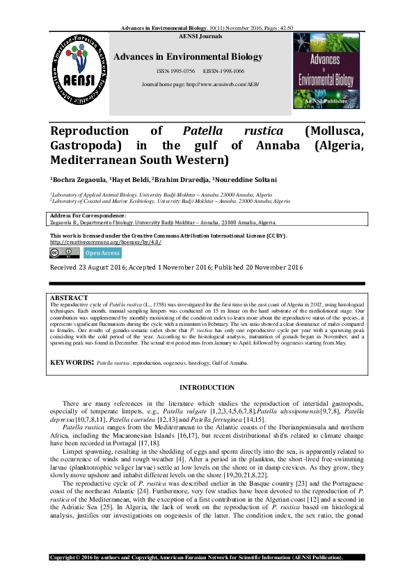 (PDF) Reproduction of Patella rustica ( Mollusca , Gastropoda ) in the gulf of Annaba ( Algeria ...