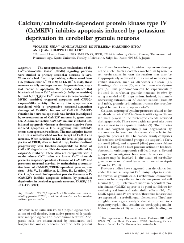 (PDF) Calcium/calmodulin-dependent protein kinase type IV is a target gene of the Wnt/β-catenin ...