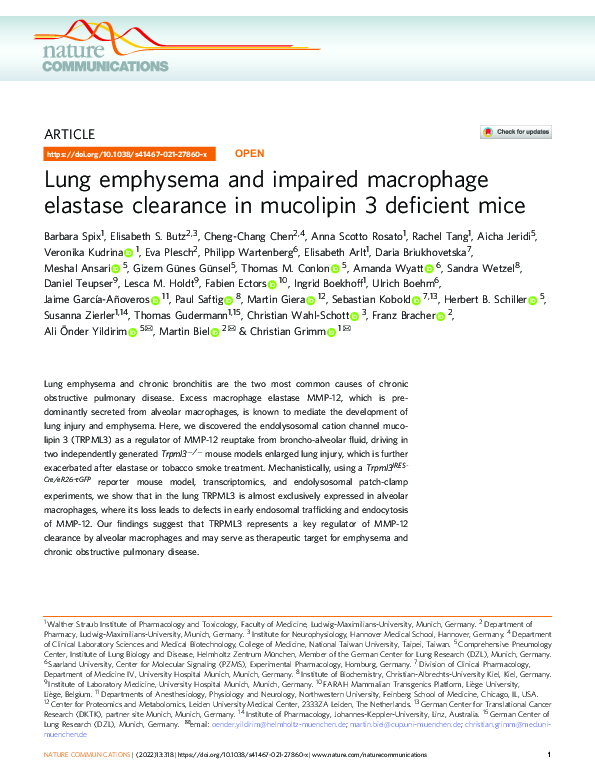 (PDF) Lung emphysema and impaired macrophage elastase clearance in ...