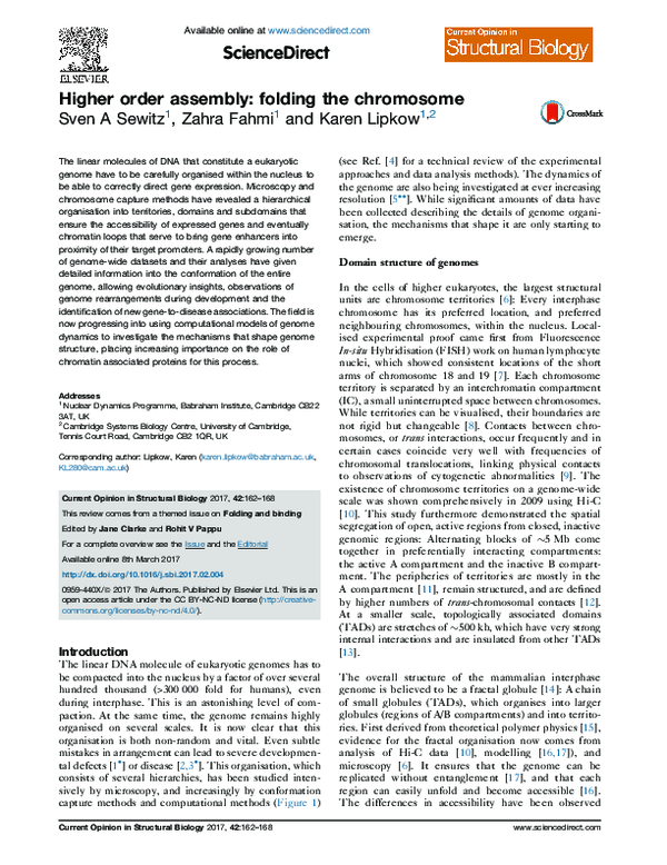(PDF) Higher order assembly: folding the chromosome