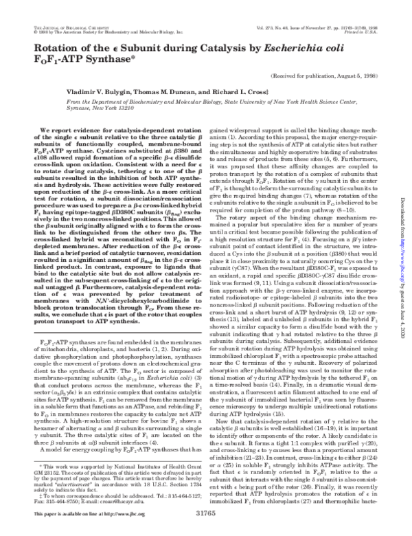 (PDF) Rotation of the ε Subunit During Catalysis by Escherichia Coli ...