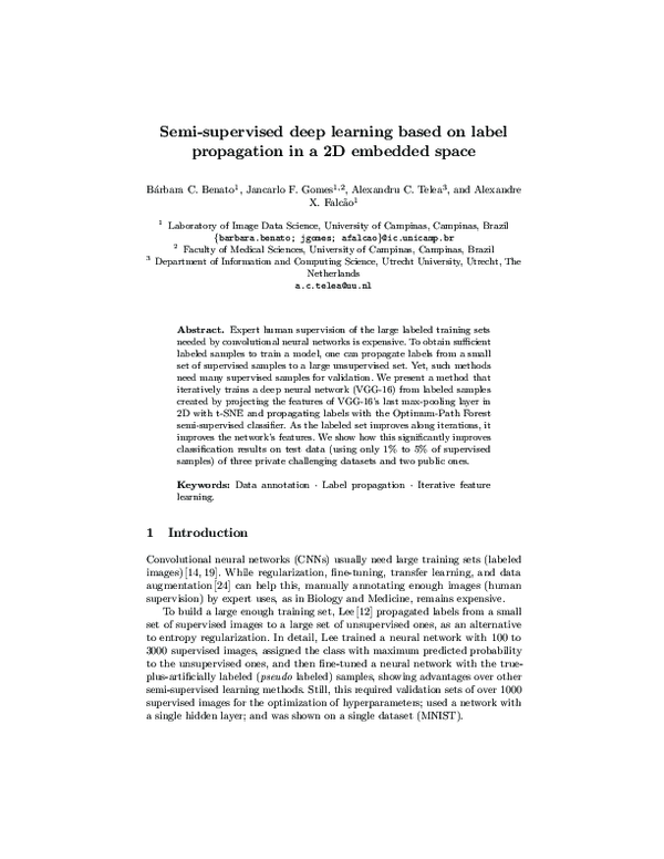 (PDF) Semi-supervised Deep Learning Based on Label Propagation in a 2D Embedded Space