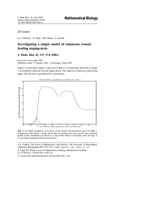 Pdf Investigating A Simple Model Of Cutaneous Wound Healing Angiogenesis