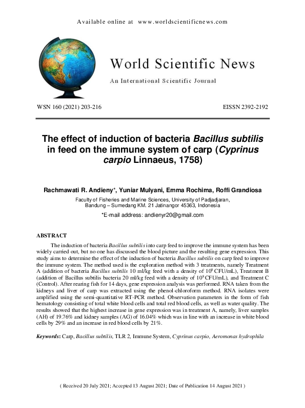 Pdf The Effect Of Induction Of Bacteria Bacillus Subtilis In Feed On The Immune System Of Carp