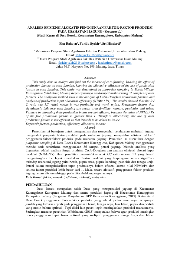 (PDF) ANALISIS EFISIENSI ALOKATIF PENGGUNAAN FAKTOR-FAKTOR PRODUKSI PADA USAHATANI JAGUNG (Zea ...