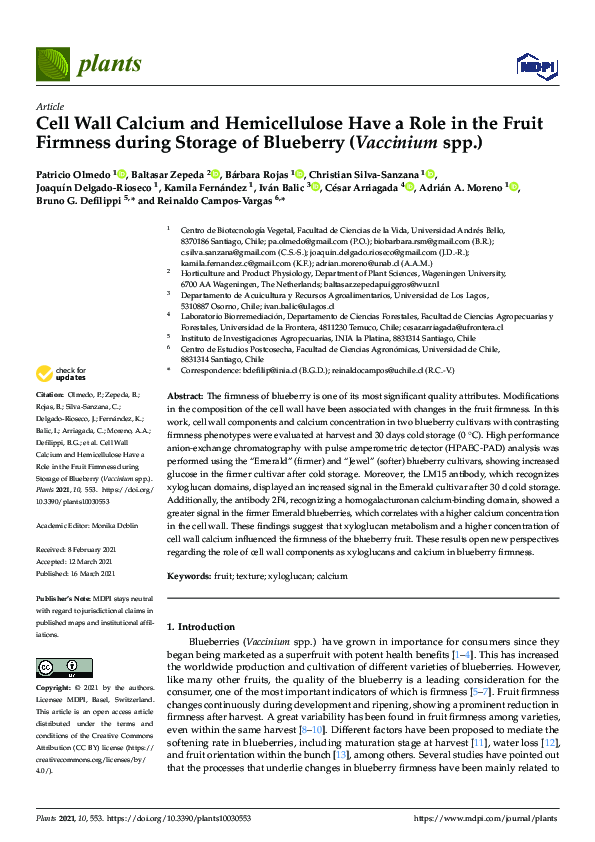 (PDF) Cell Wall Calcium and Hemicellulose Have a Role in the Fruit ...