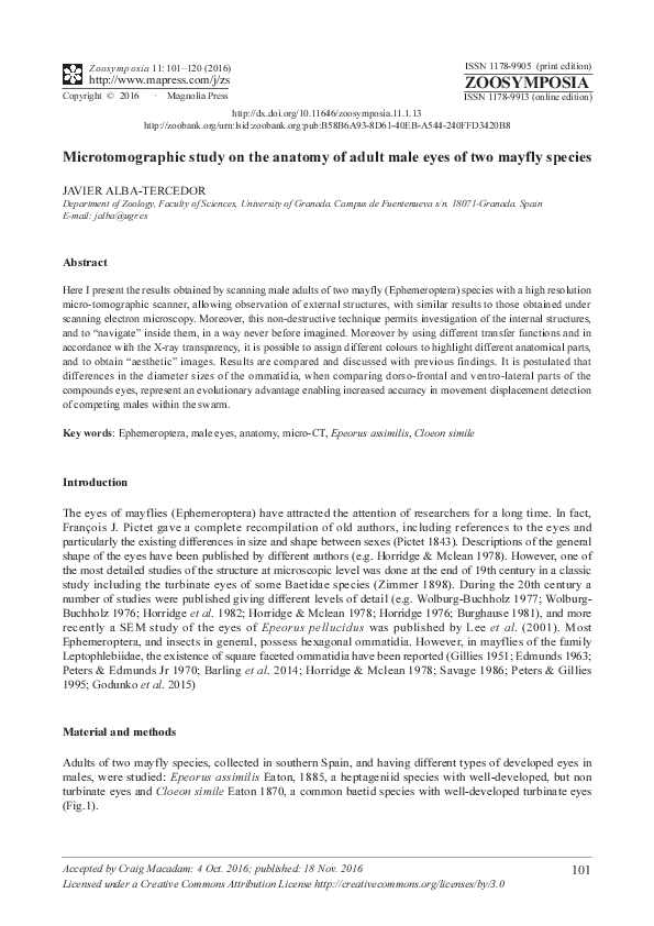 (PDF) Microtomographic study on the anatomy of adult male eyes of two ...