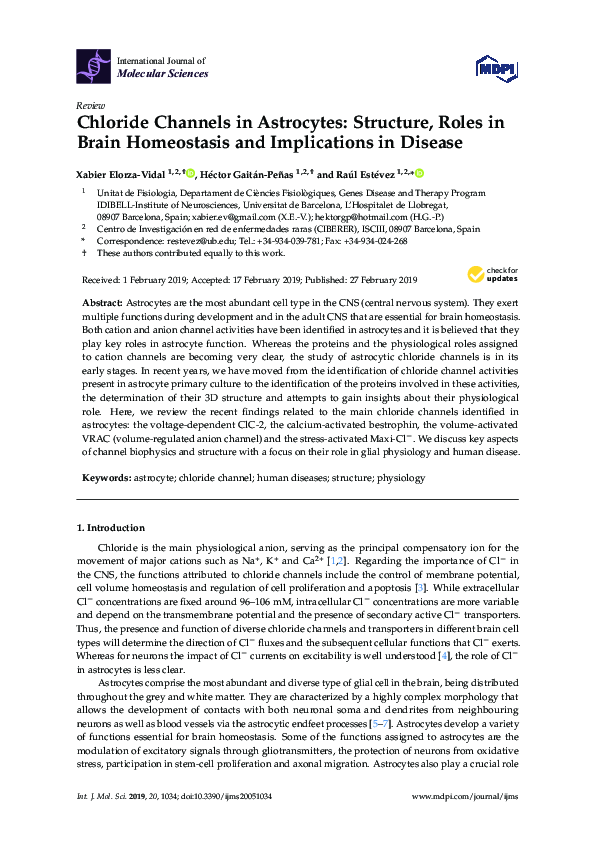 (PDF) Chloride Channels in Astrocytes: Structure, Roles in Brain ...