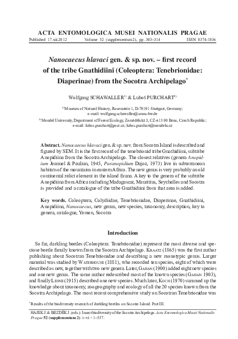 (PDF) Nanocaecus hlavaci gen. & sp. nov. - fi rst record of the tribe ...
