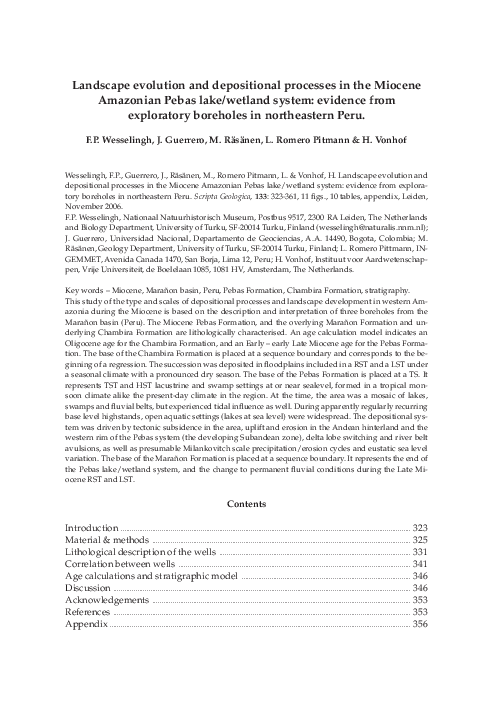 (PDF) Amazonian Pebas lake/wetland system: evidence from