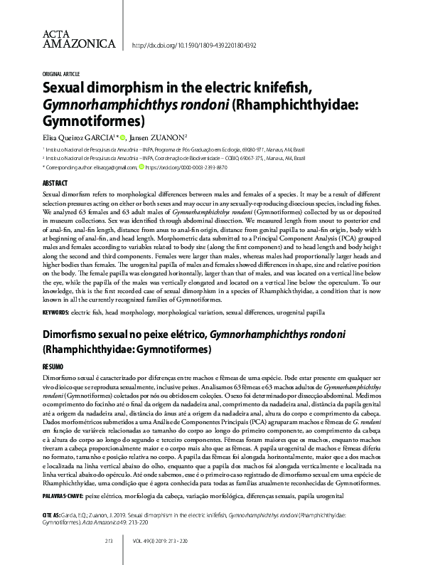 (PDF) Sexual dimorphism in the electric knifefish, Gymnorhamphichthys ...