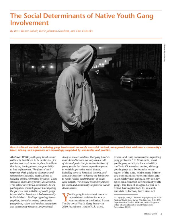 (PDF) The Social Determinants of Native Youth Gang Involvement