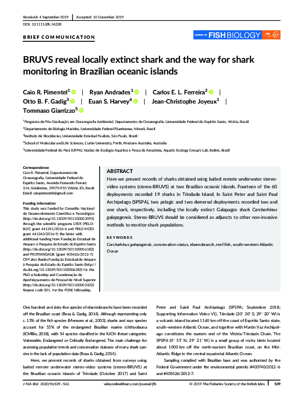 (PDF) BRUVS reveal locally extinct shark and the way for shark ...