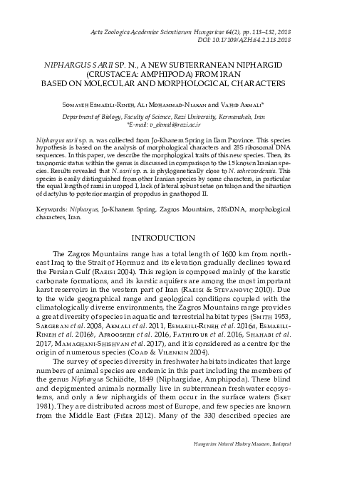(PDF) Niphargus sarii sp. n., a new subterranean niphargid (Crustacea ...