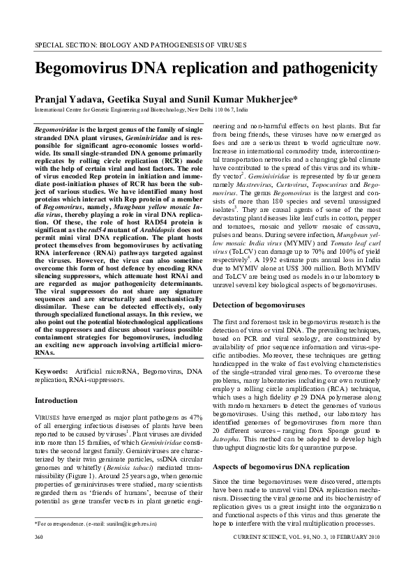 (PDF) Begomovirus DNA replication and pathogenicity