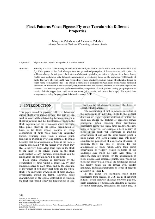 Flock Patterns When Pigeons Fly over Terrain with Different Properties