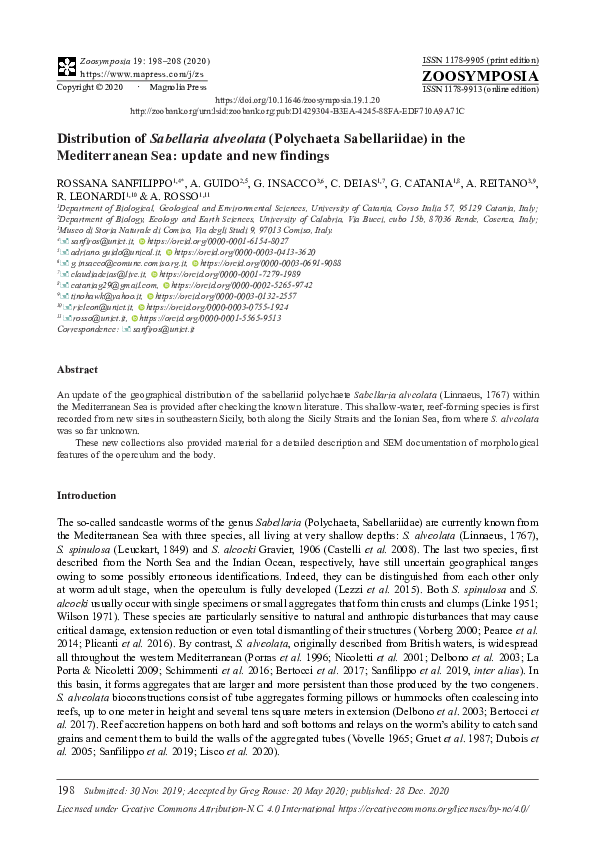(PDF) Distribution of Sabellaria alveolata (Polychaeta Sabellariidae ...