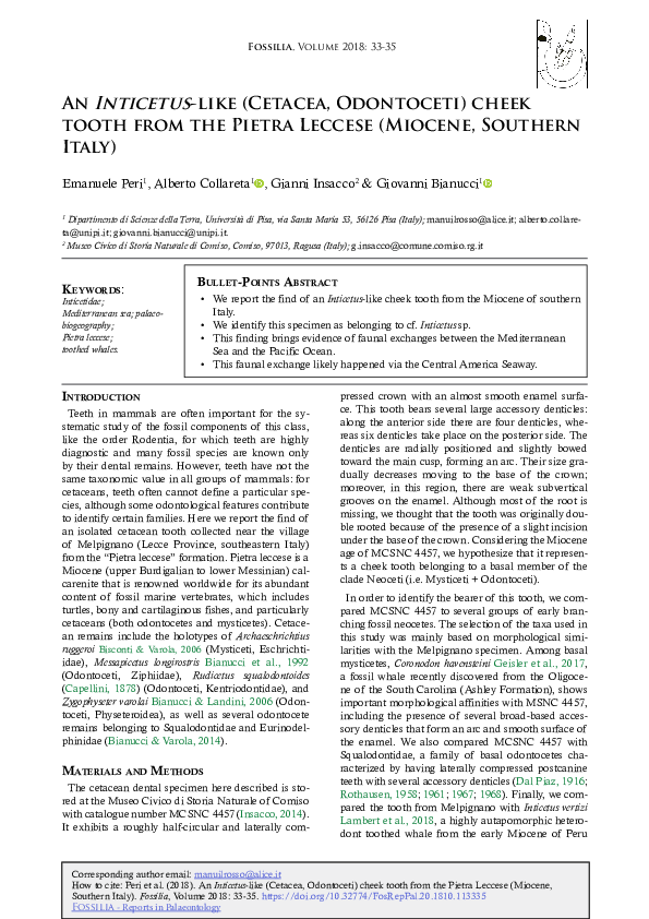 (PDF) An Inticetus-like (Cetacea, Odontoceti) cheek tooth from the ...