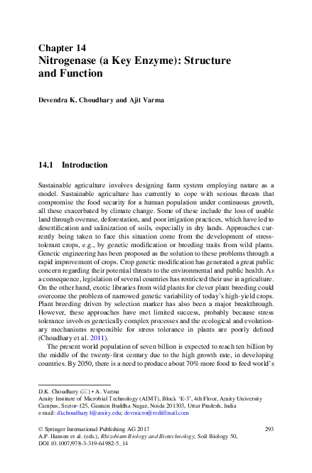 (PDF) Nitrogenase (a Key Enzyme): Structure and Function