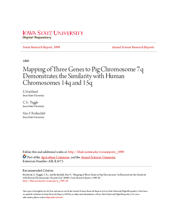 (PDF) Mapping of Three Genes to Pig Chromosome 7q Demonstrates the ...