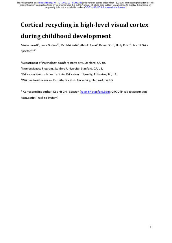 (PDF) Cortical recycling in high-level visual cortex during childhood development