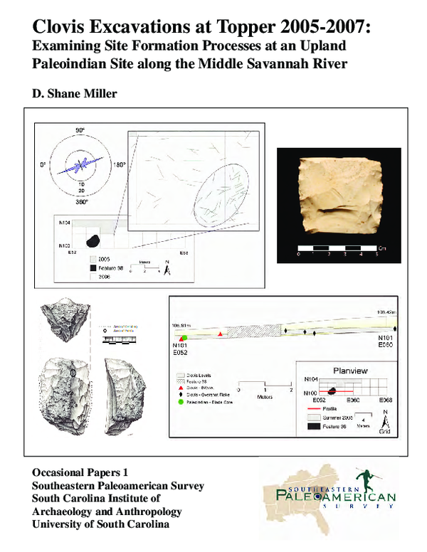 (PDF) Clovis Excavations at Topper 2005-2007: Examining Site Formation ...