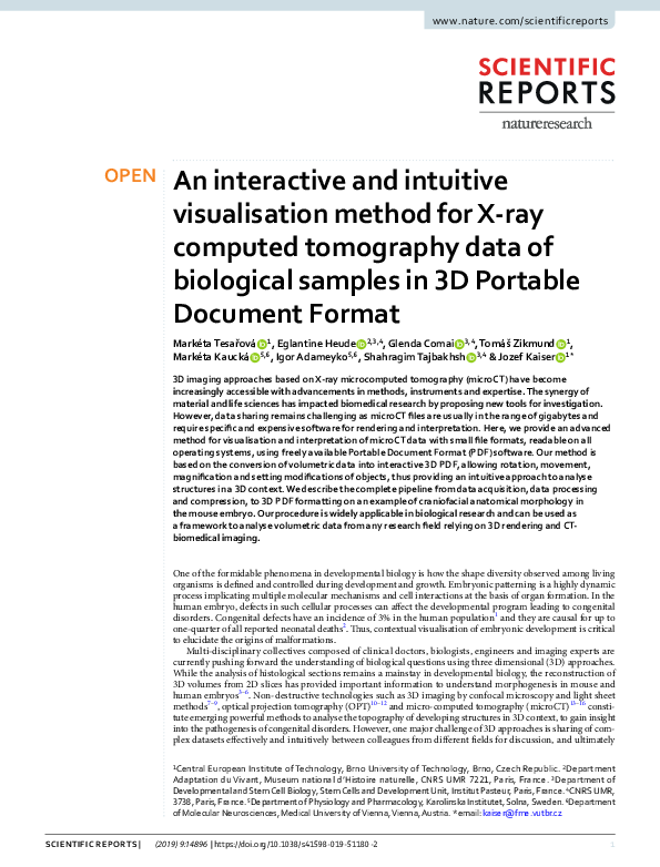 (PDF) An interactive and intuitive visualisation method for X-ray ...