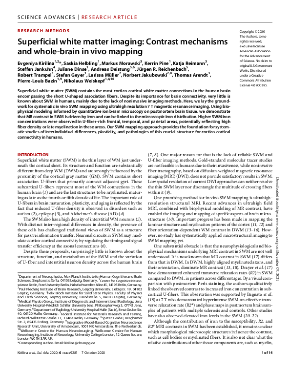 (PDF) Superficial white matter imaging: Contrast mechanisms and whole ...