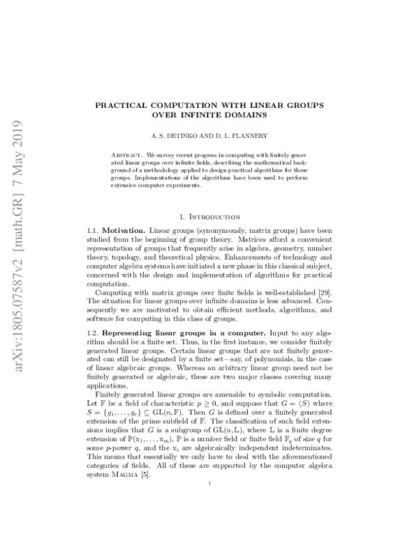 (PDF) Practical Computation with Linear Groups Over Infinite Domains