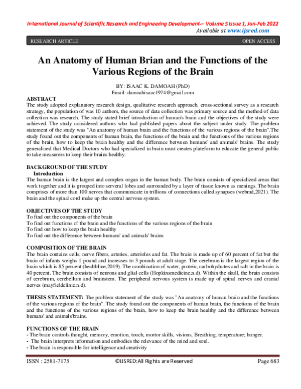 (PDF) An Anatomy of Human Brian and the Functions of the Various ...
