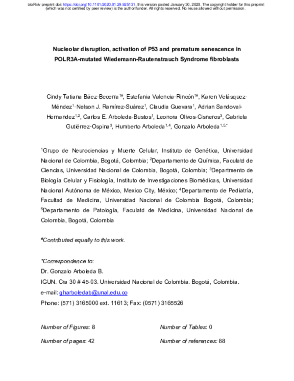 (PDF) Nucleolar disruption, activation of P53 and premature senescence in POLR3A-mutated ...