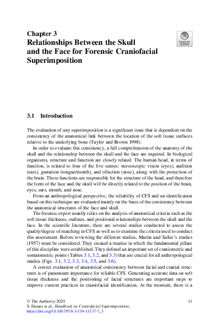 (PDF) Relationships Between the Skull and the Face for Forensic ...