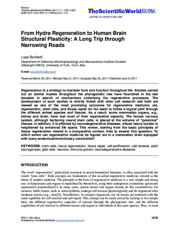 (PDF) From hydra regeneration to human brain structural plasticity: a ...