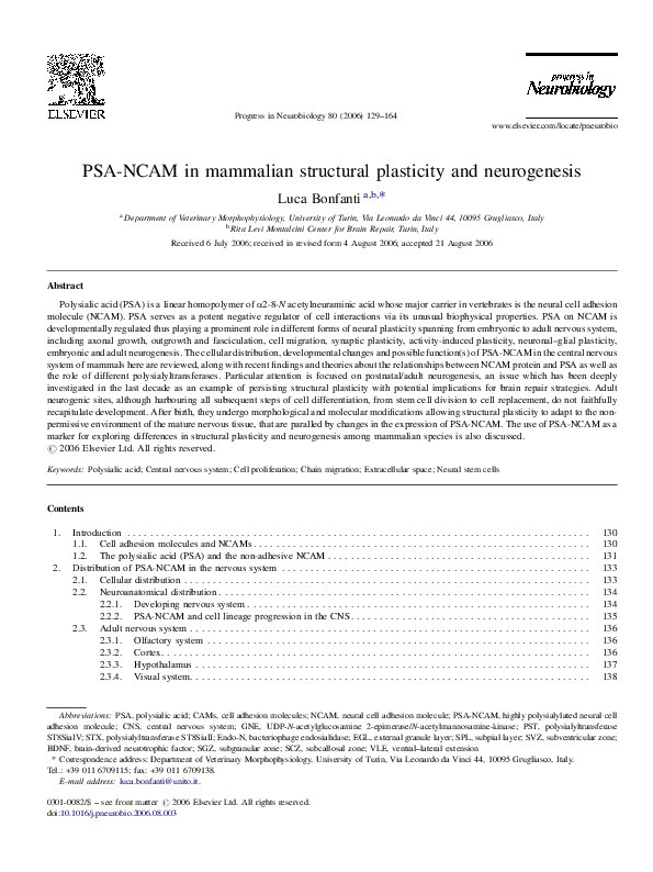 (PDF) PSA-NCAM in mammalian structural plasticity and neurogenesis
